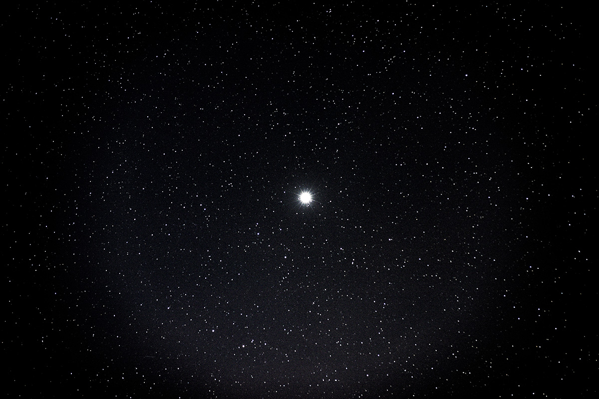 In Search of the Pinpoint Star - Silvana Della Camera Photography