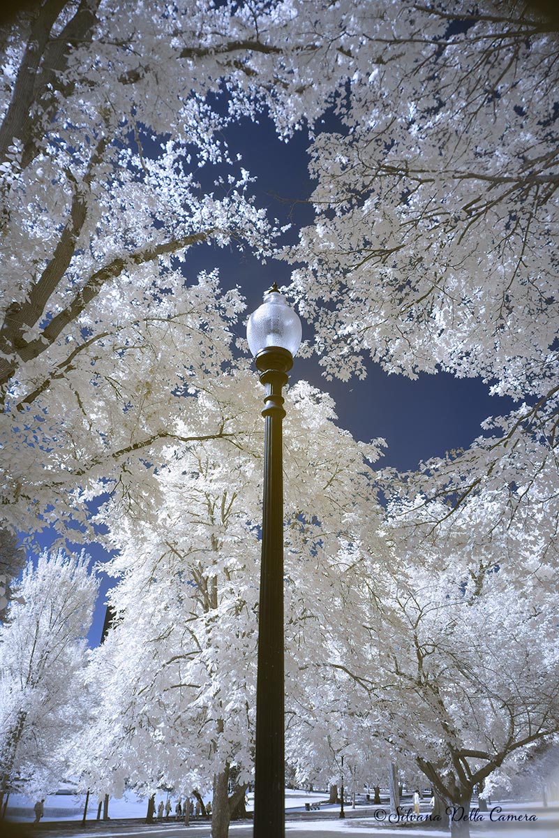 Photography Presentation -The Infrared Zone - Silvana Della Camera ...