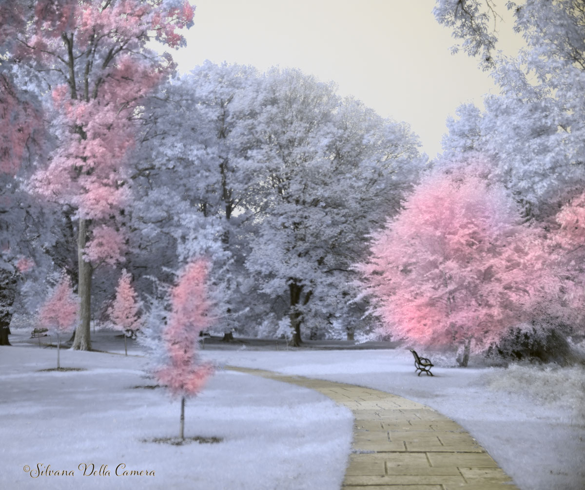 Gear Review - Variable Infrared Filter - Silvana Della Camera Photography
